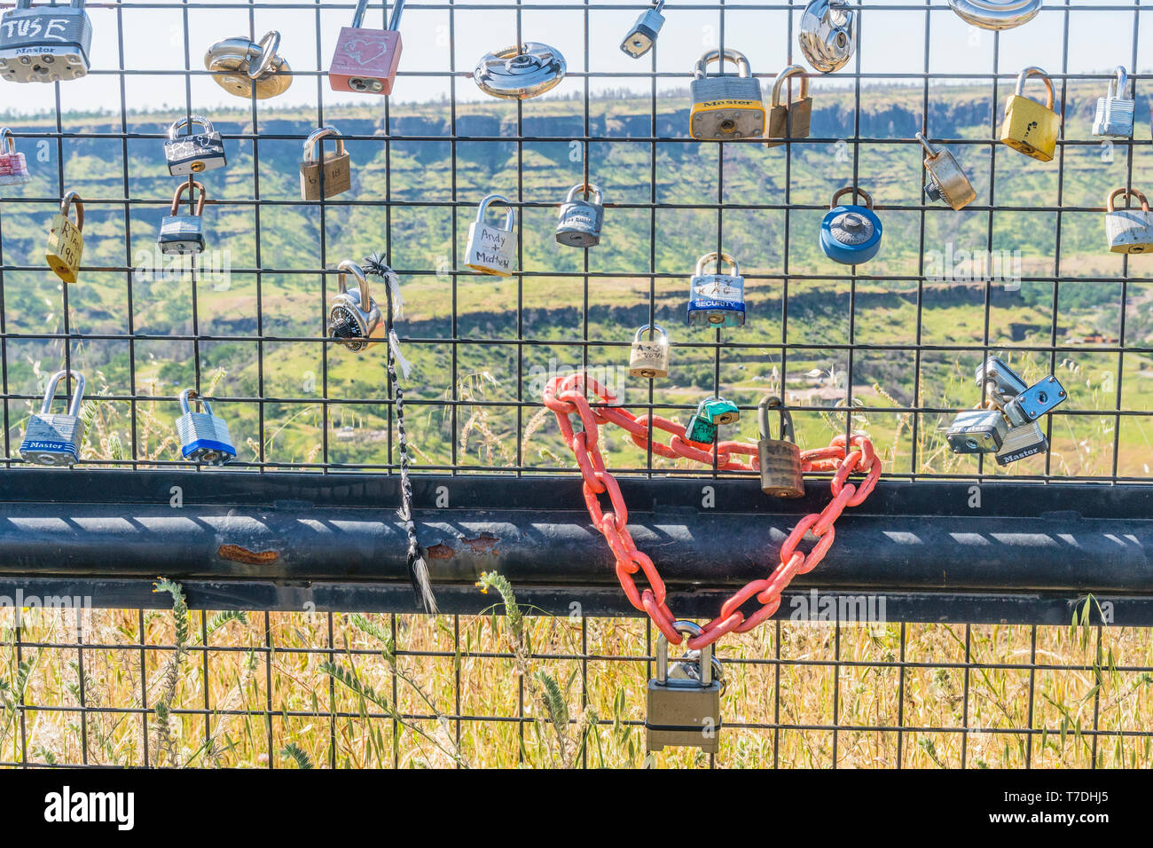 Many lover's padlocks and other locks are locked to the fence ...