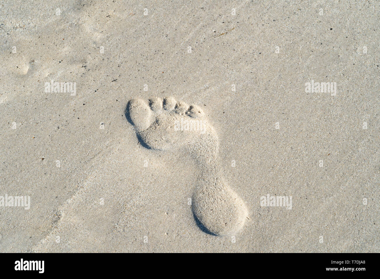 Petite female hi-res stock photography and images - Alamy