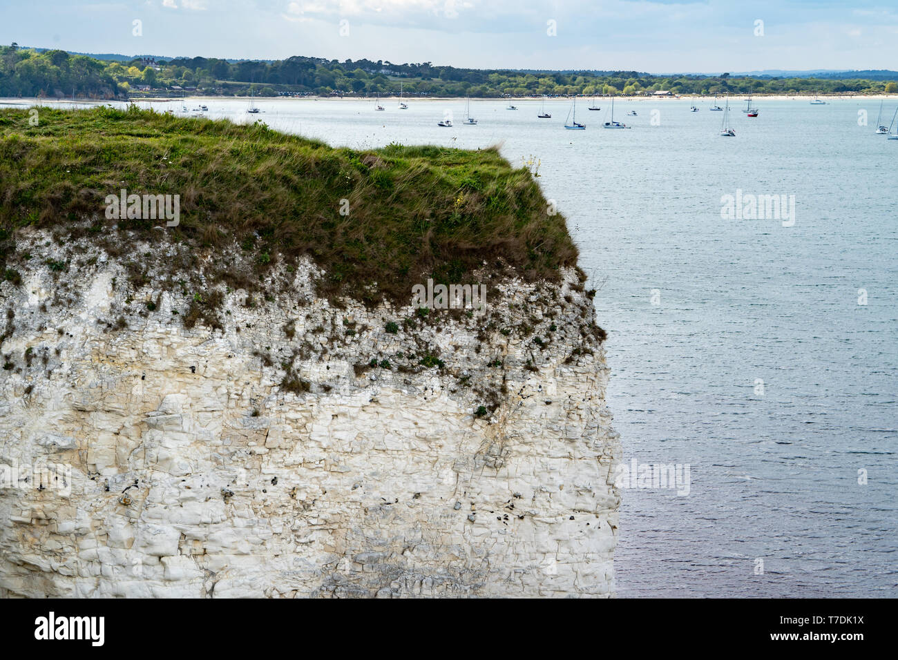 Chalk cliff erosion hi-res stock photography and images - Alamy