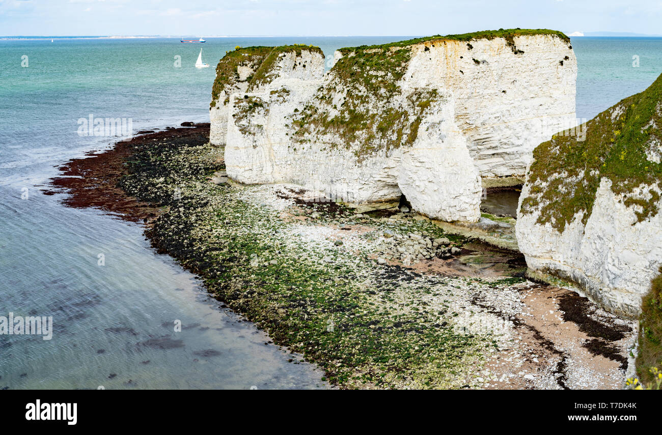 Hi-res panorama Old Harry Rocks. Chalk formations, stack and stump at ...