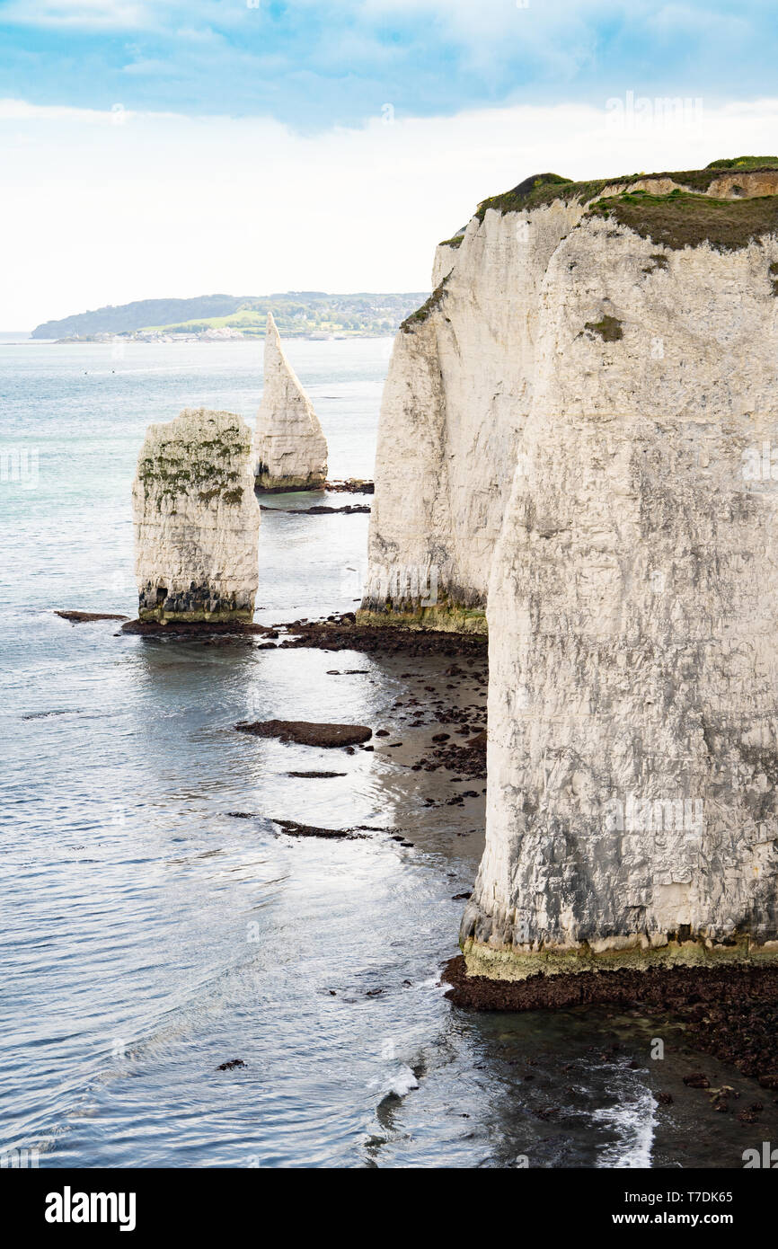 Old Harry Rocks. Chalk formations including a stack and a stump at ...