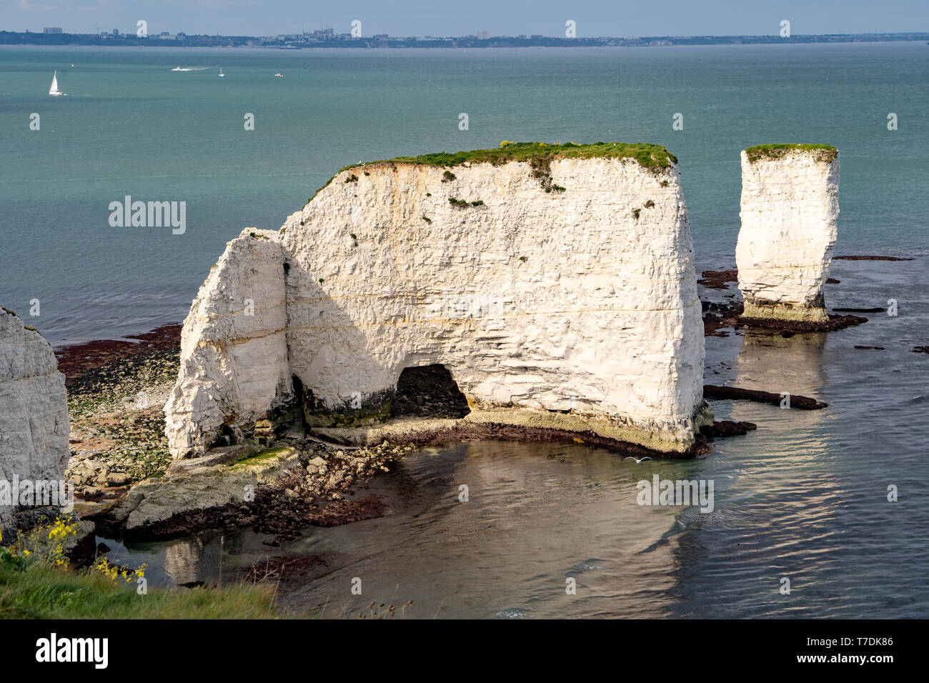 Old Harry Rocks. Chalk formations including a stack and a stump at ...