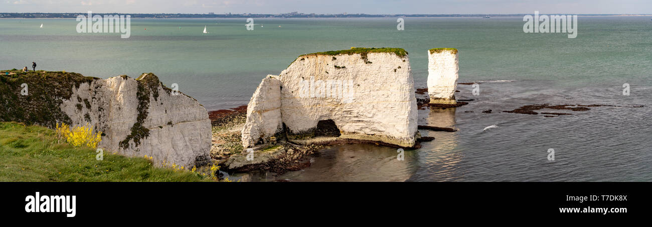 Hi-res panorama Old Harry Rocks. Chalk formations, stack and stump at ...