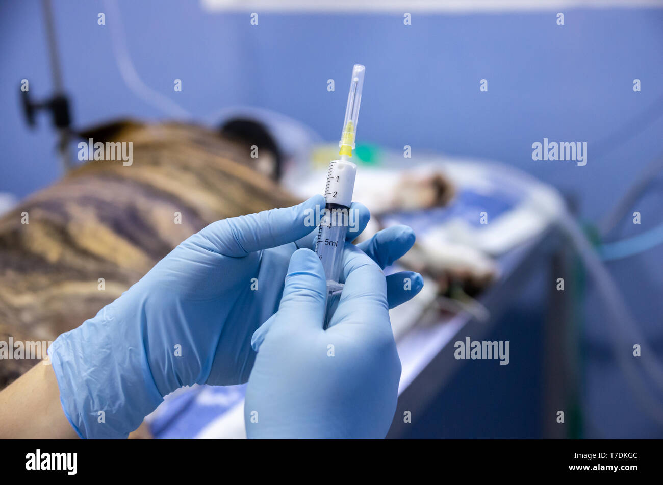 Preinduction hi-res stock photography and images - Alamy