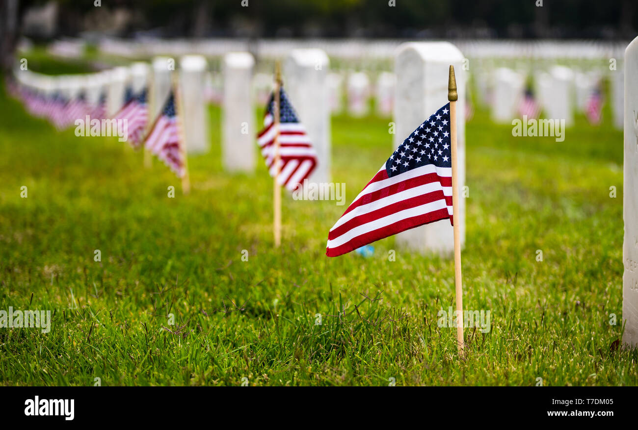 Small American flag at National cemetary - Memorial Day display Stock ...