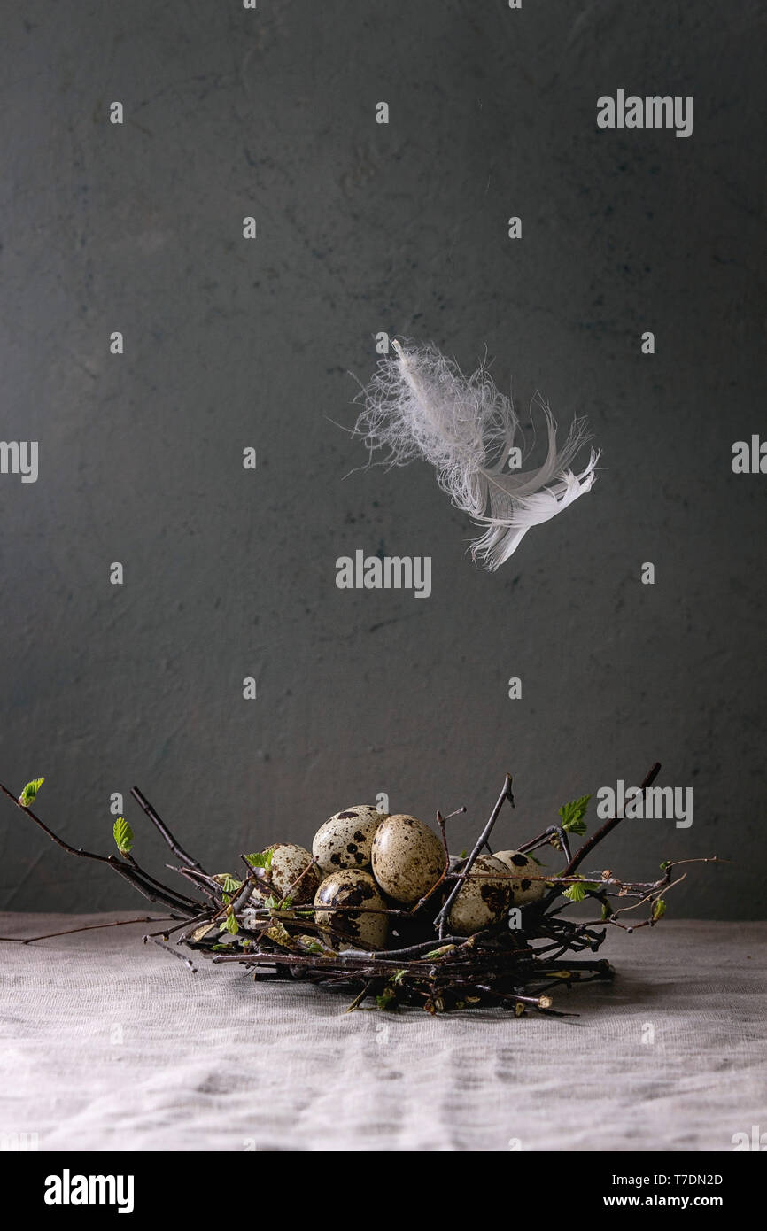 Quail flying hi-res stock photography and images - Alamy