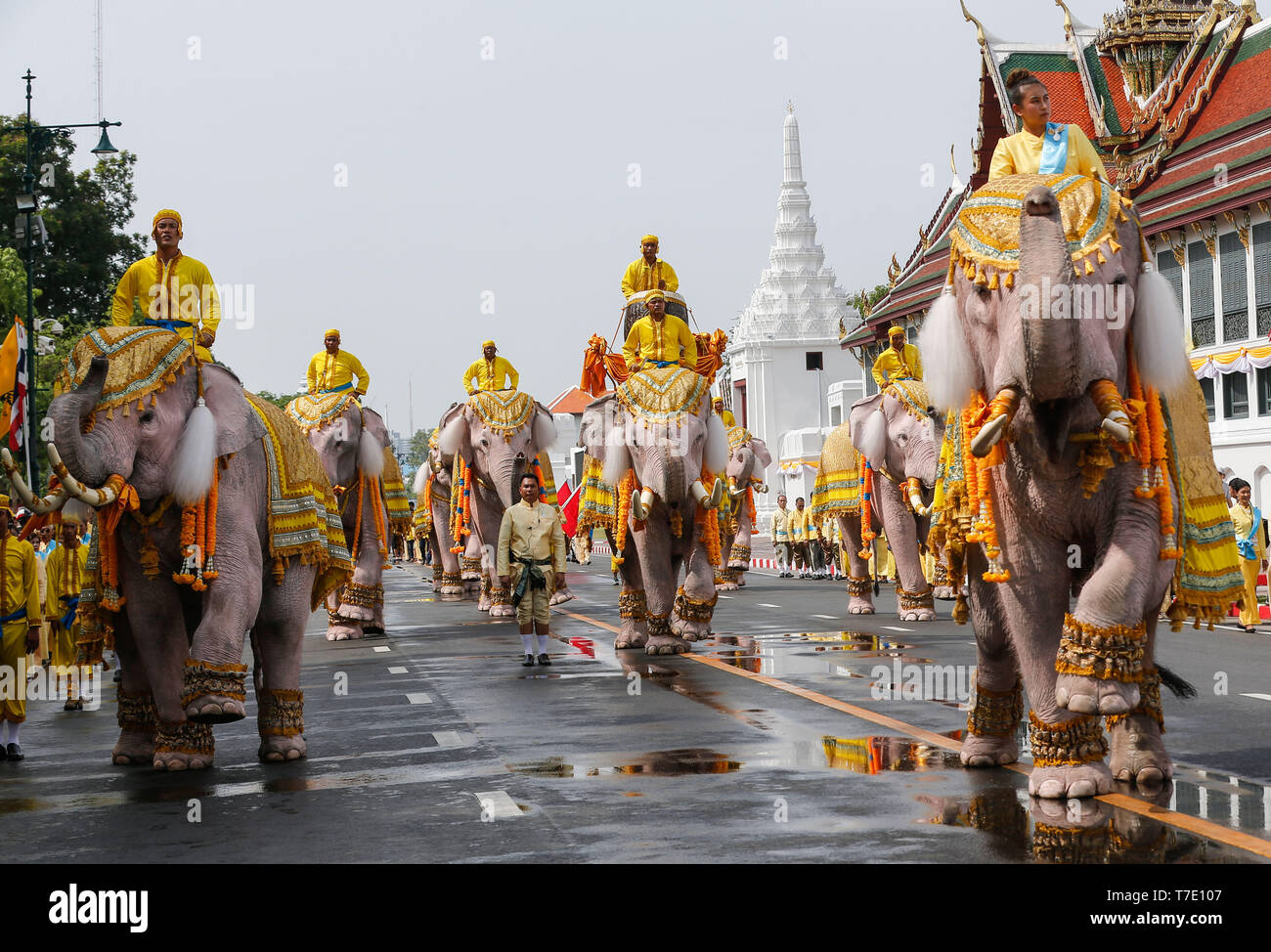 Bangkok, Thailand. 7th May, 2019. Thai mahouts seen riding on elephants ...