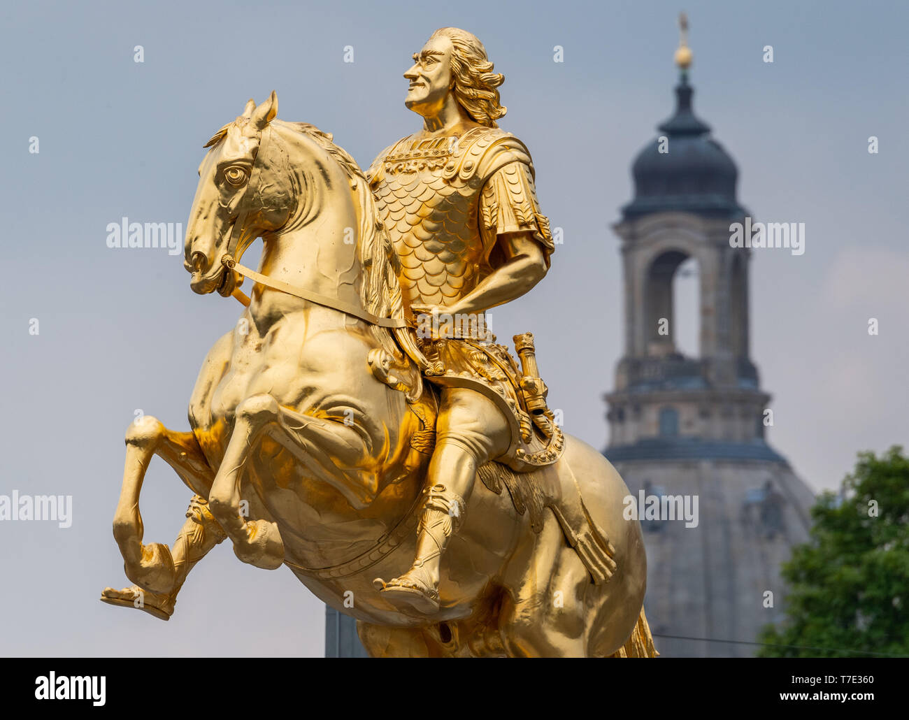 Gilded blade hi-res stock photography and images - Alamy