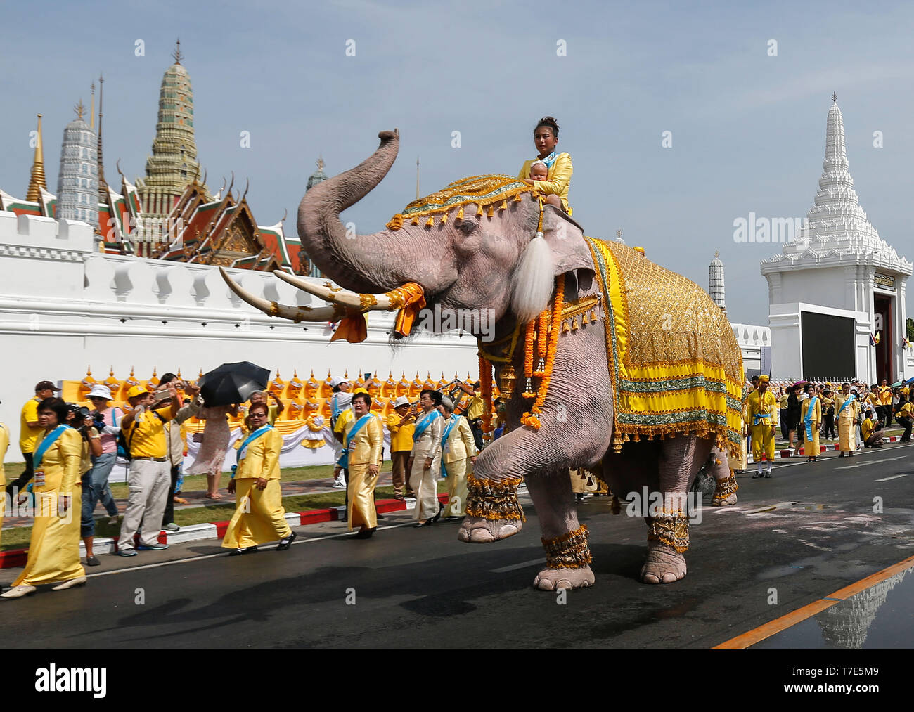 Bangkok, Thailand. 7th May, 2019. Thai mahouts seen riding on elephants ...
