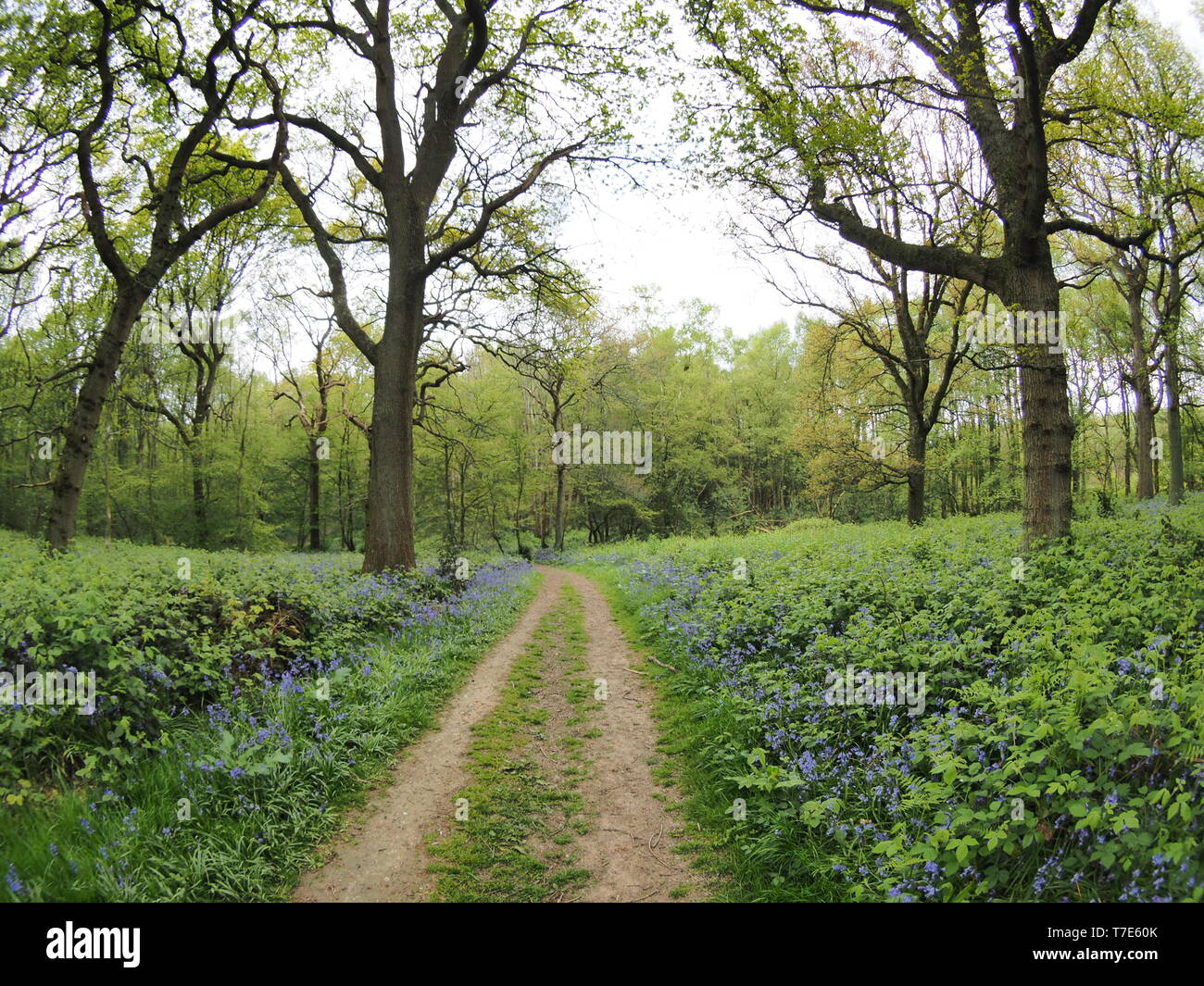 Hucking hi-res stock photography and images - Alamy