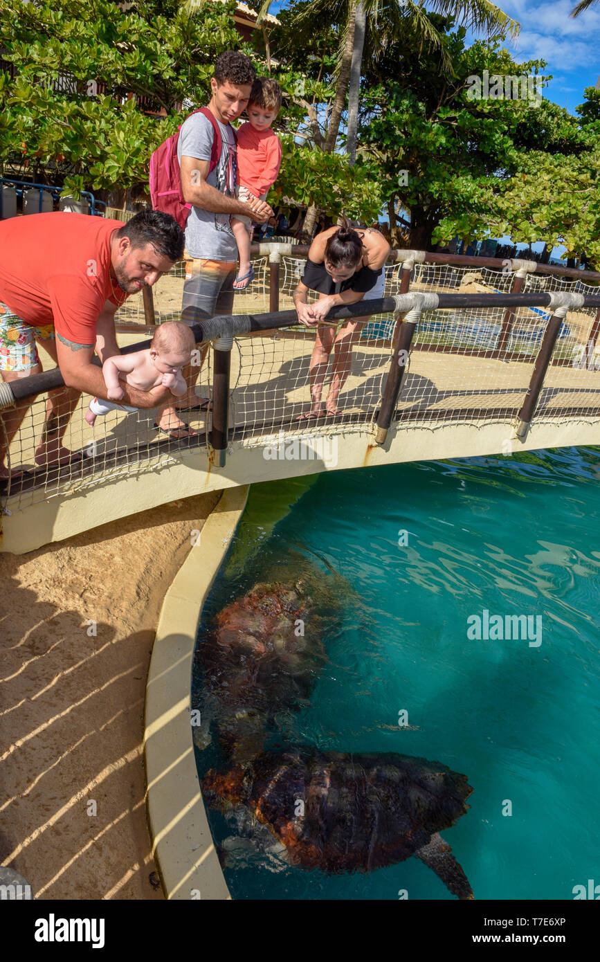 Praia do Forte, Brazil - 31 January 2019: people observing turtles on ...