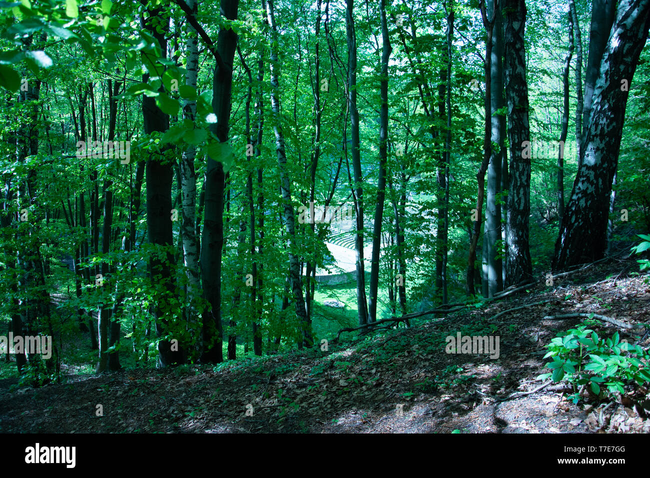 Góra sw. Anny Poland Stock Photo - Alamy