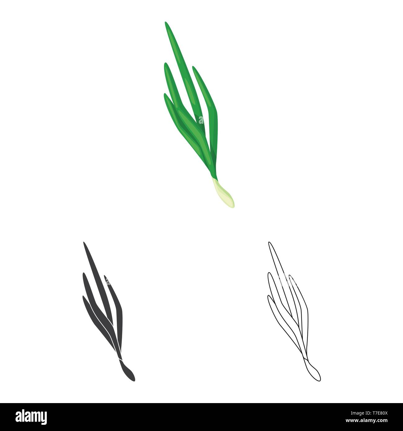 Vector design of onion and vegetables symbol. Set of onion and leaf ...
