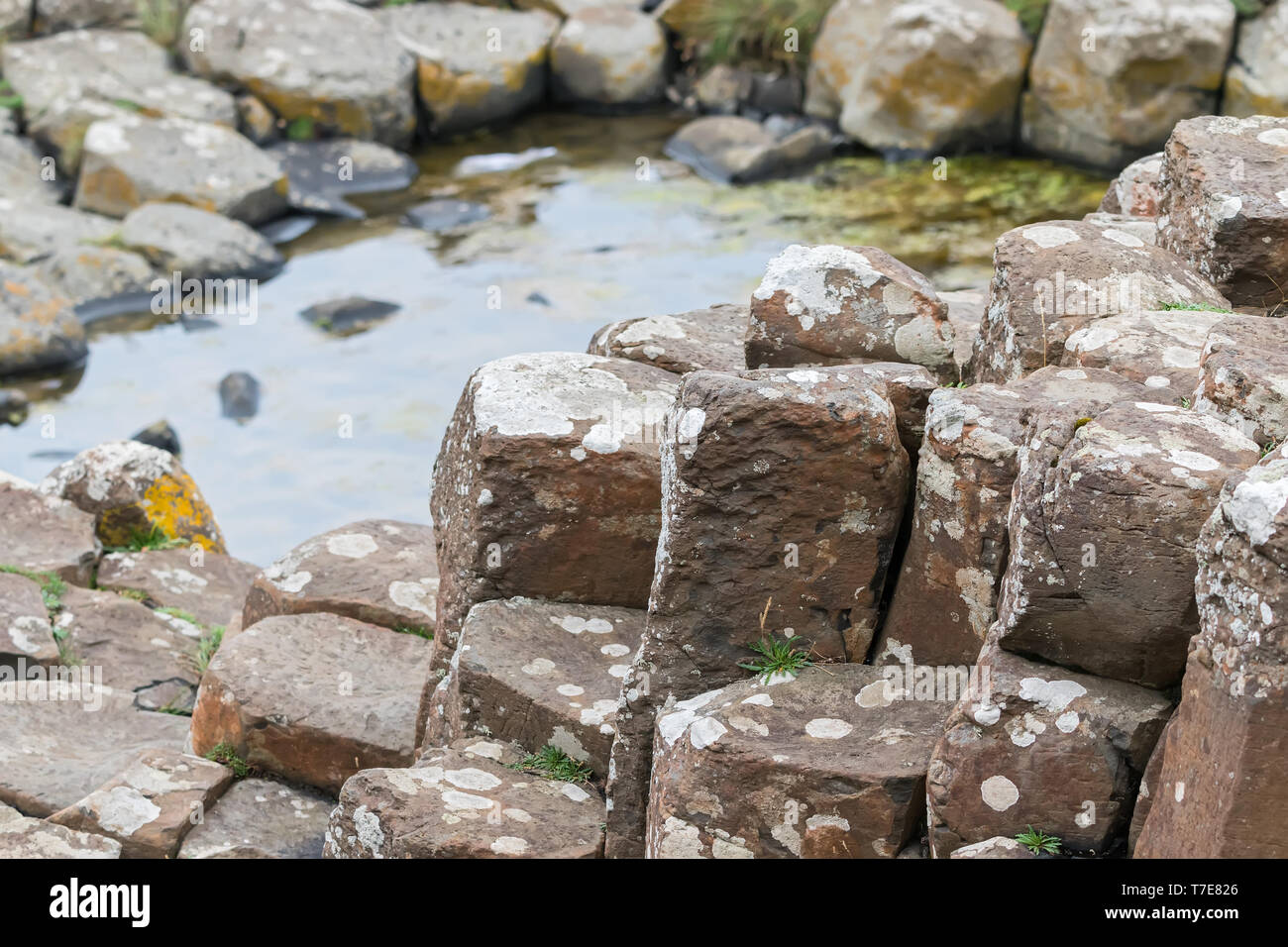 The Giants causeway in Ireland, these are some big natural basalt ...
