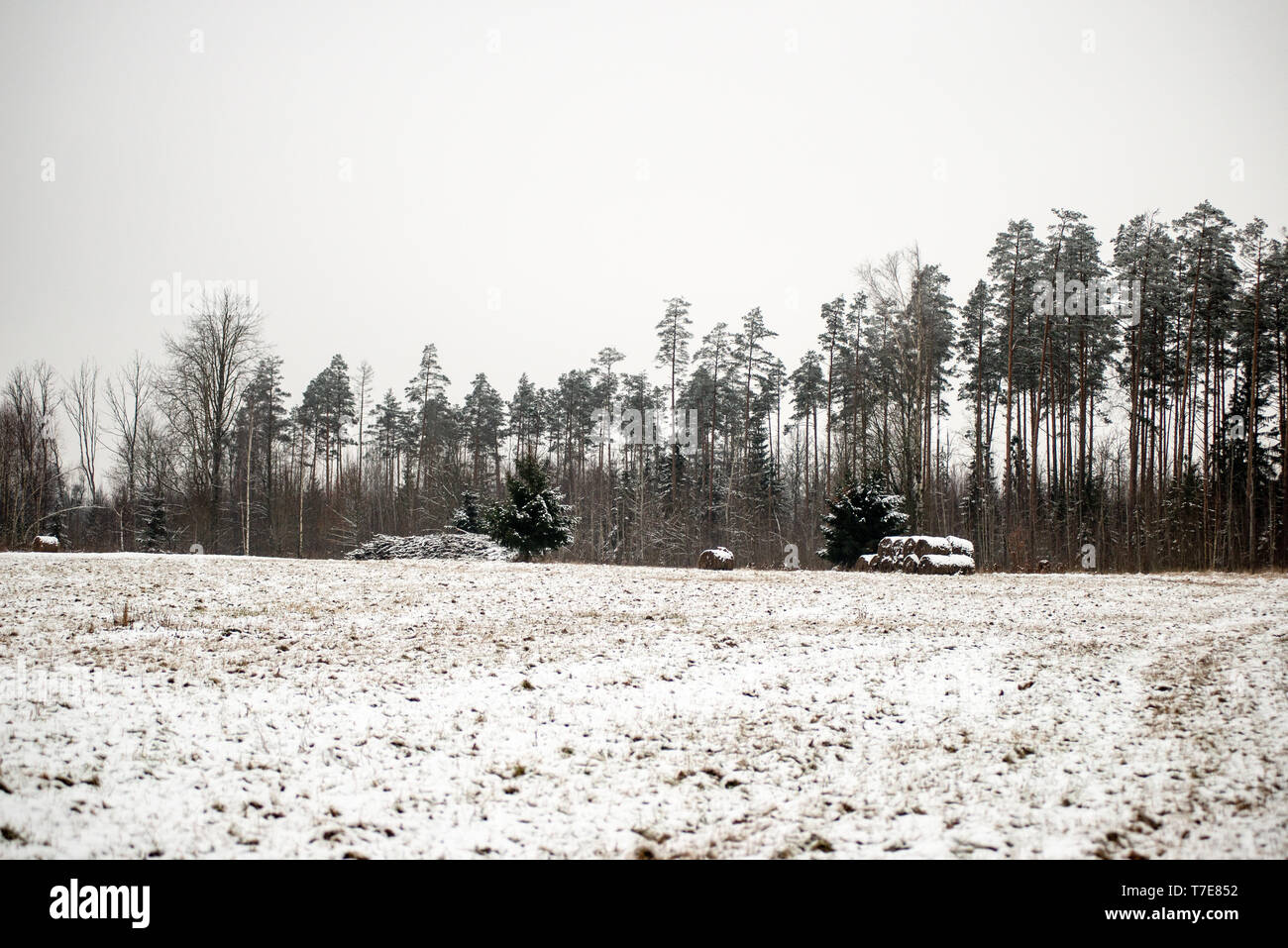 frozen ground texture in winter countryside. cloudy day Stock Photo - Alamy