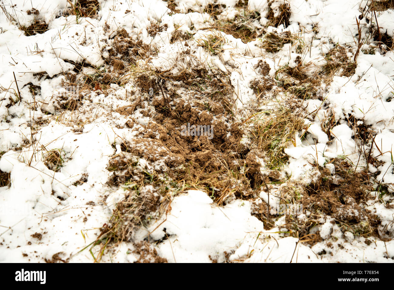 frozen ground texture in winter countryside. cloudy day Stock Photo - Alamy