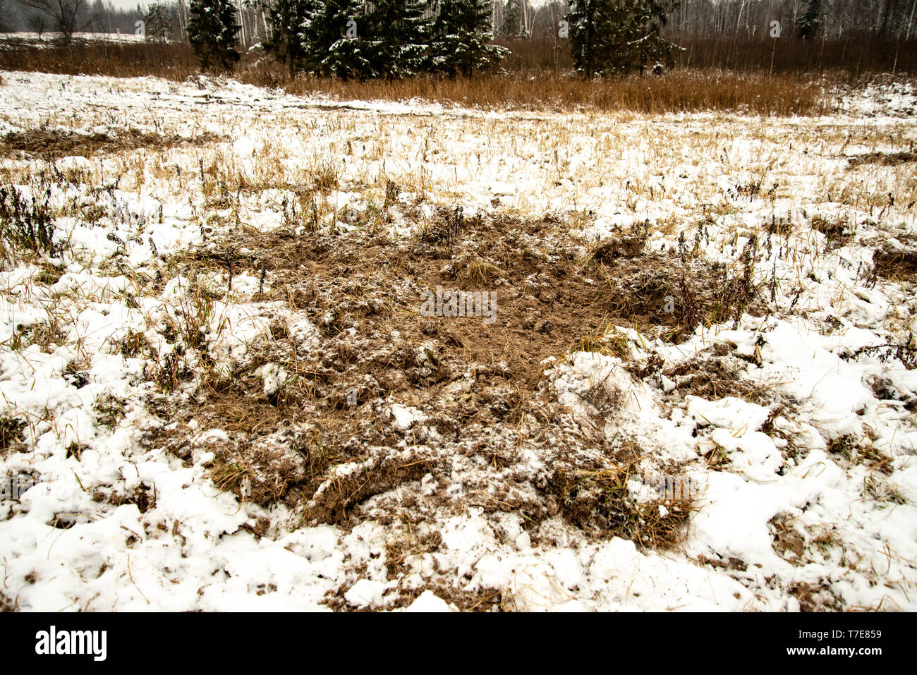 frozen ground texture in winter countryside. cloudy day Stock Photo - Alamy