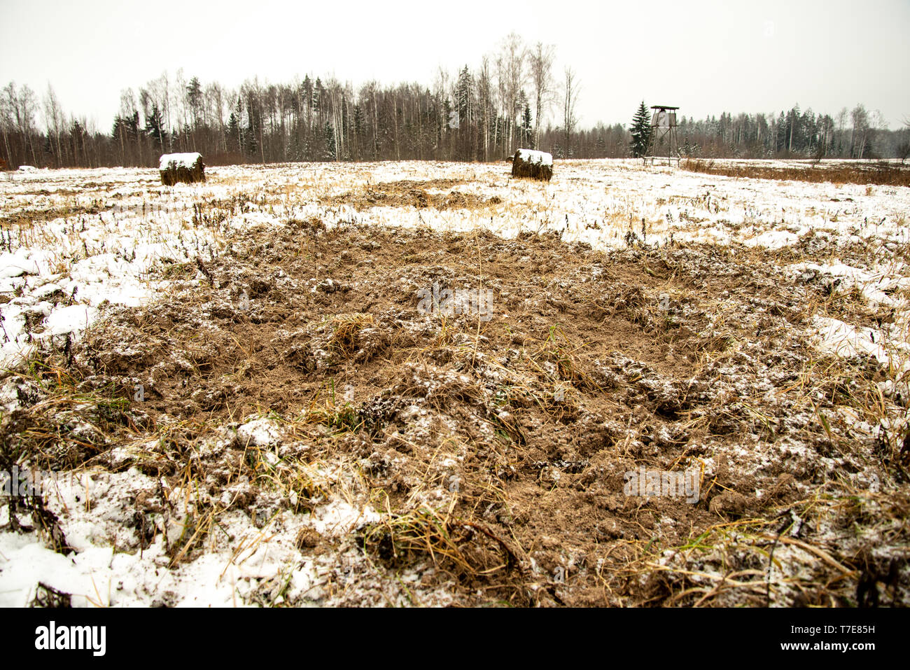 frozen ground texture in winter countryside. cloudy day Stock Photo - Alamy
