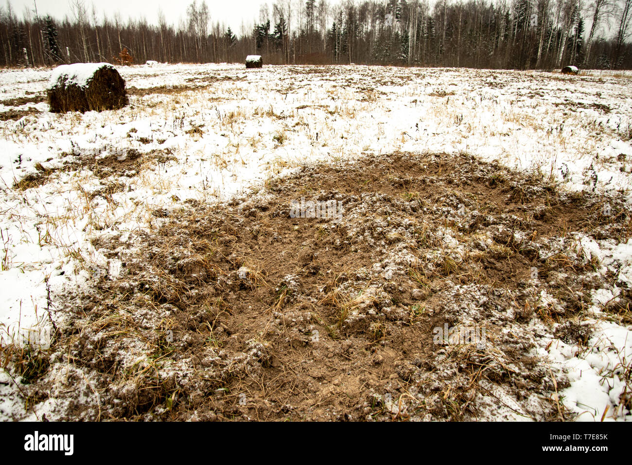 frozen ground texture in winter countryside. cloudy day Stock Photo - Alamy