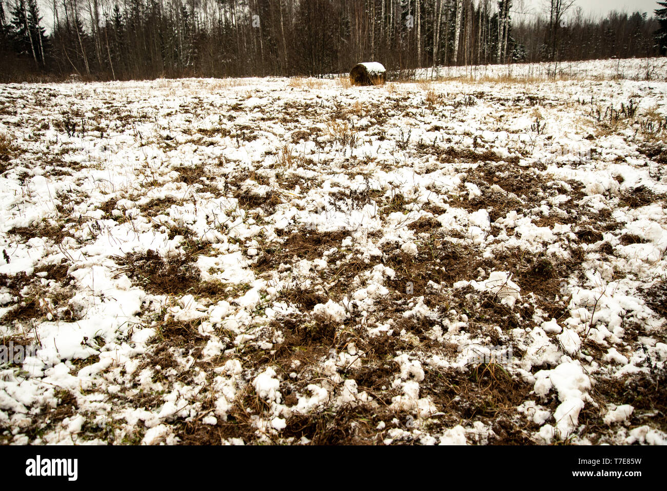 Frozen Ground Texture