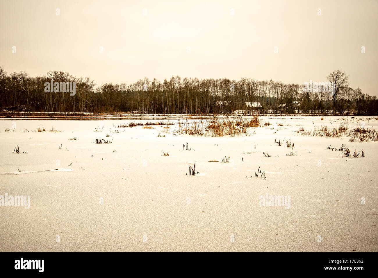 frozen ground texture in winter countryside. cloudy day Stock Photo - Alamy