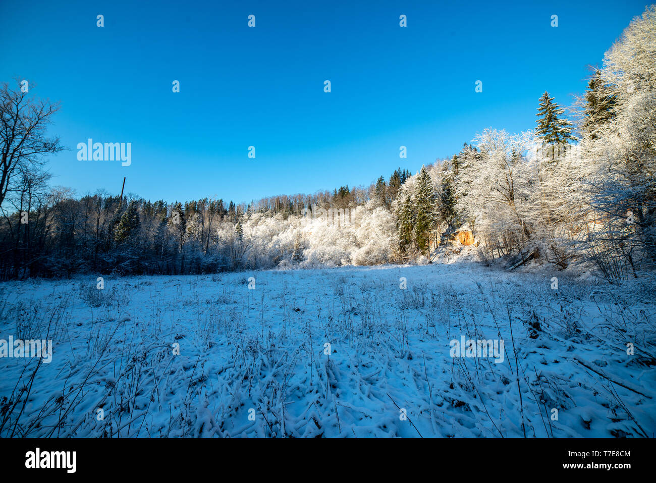 frozen ground texture in winter countryside. cloudy day Stock Photo - Alamy