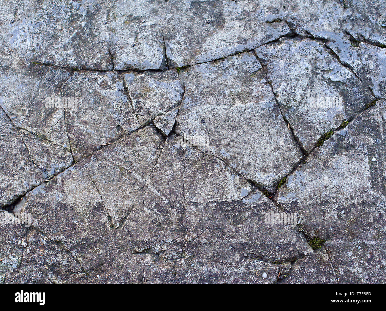 Old green moss-covered road of stone slabs with textured surface Stock ...
