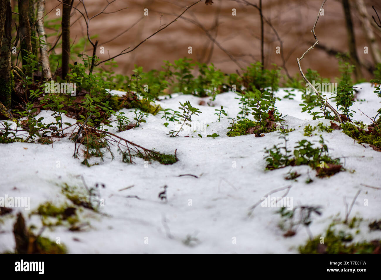 frozen ground texture in winter countryside. cloudy day Stock Photo - Alamy