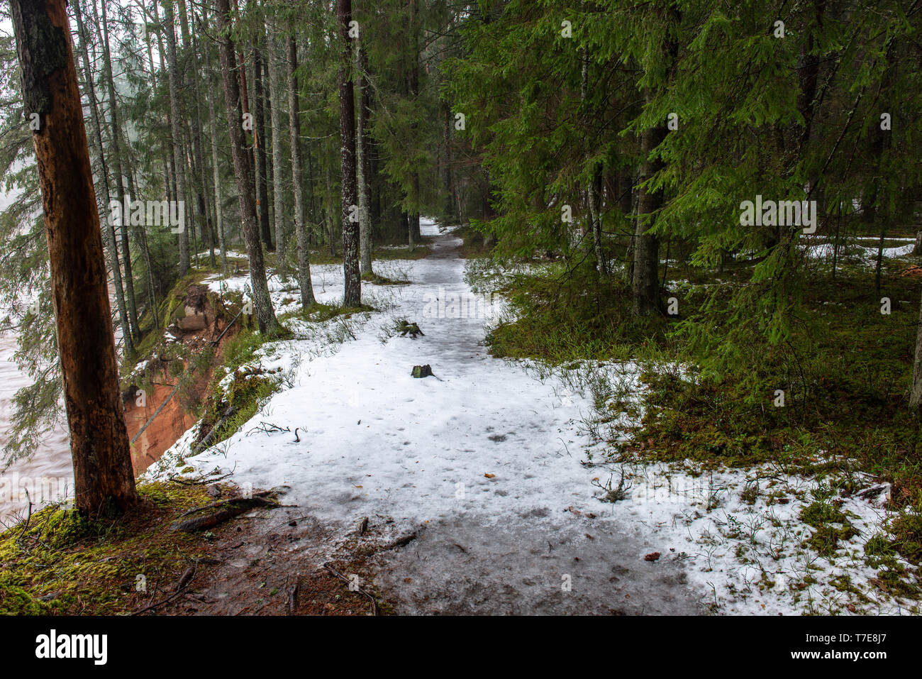 frozen ground texture in winter countryside. cloudy day Stock Photo - Alamy