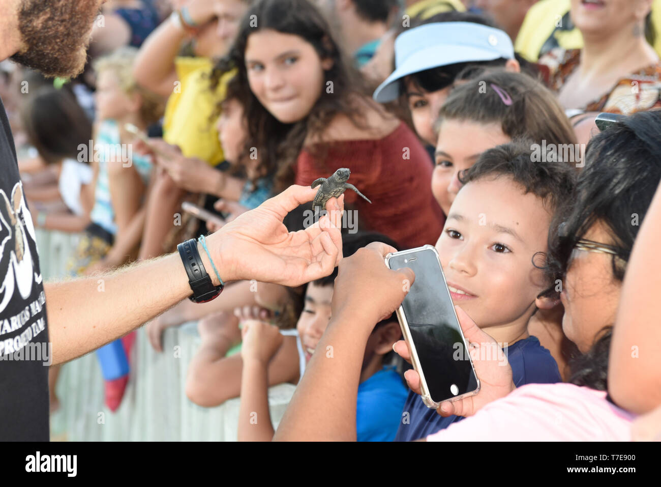 Praia do Forte, Brazil - 31 January 2019: people observing baby turtles ...