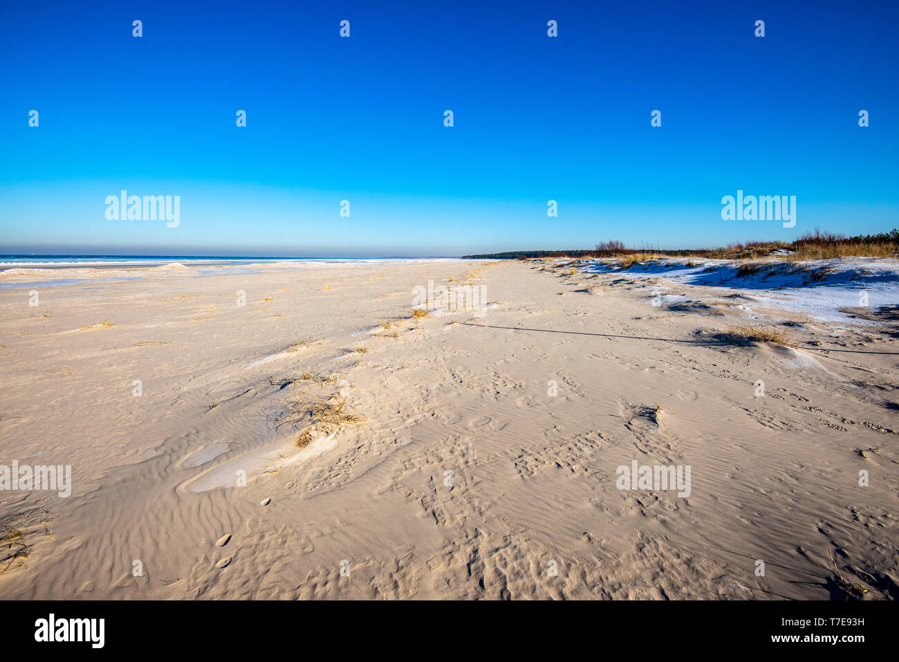 frozen sand textures in winter by the sea beach with blue sky in sunny ...