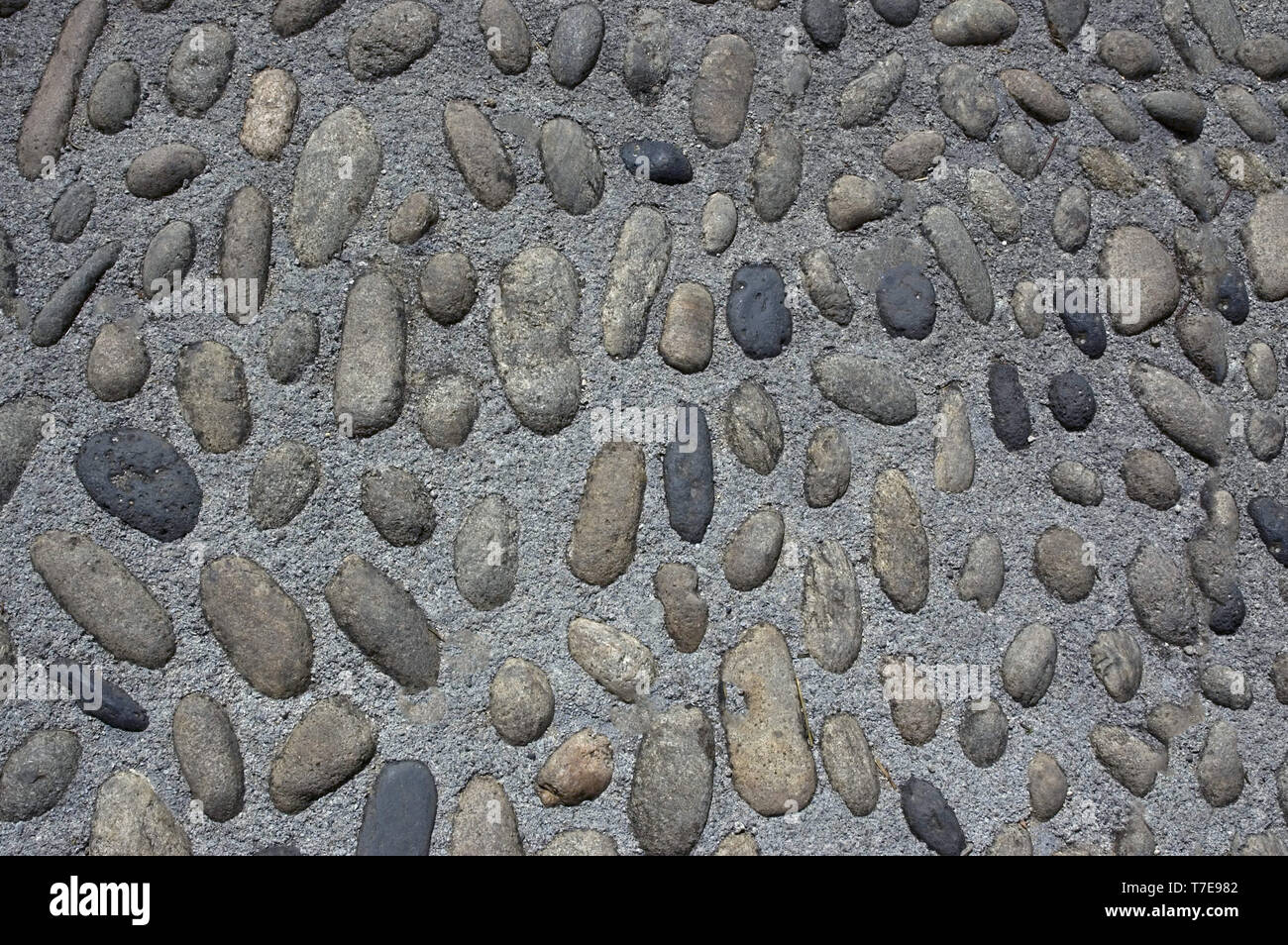 The wall is lined with stones oval shape.Texture or background Stock ...