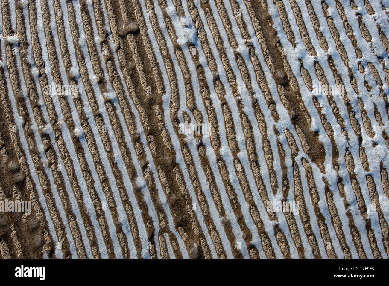 frozen sand textures in winter by the sea beach with blue sky in sunny ...
