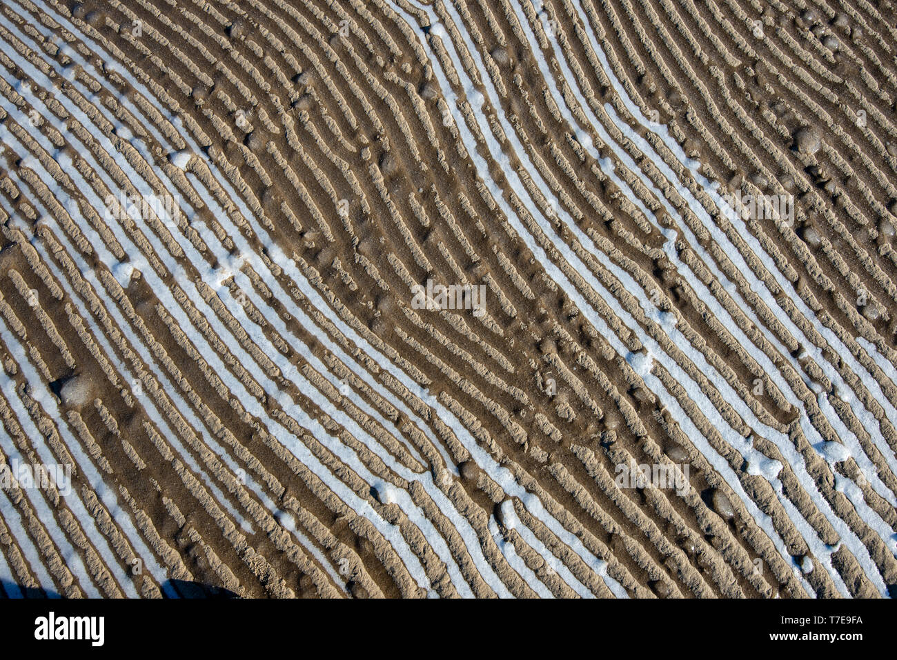 frozen sand textures in winter by the sea beach with blue sky in sunny ...