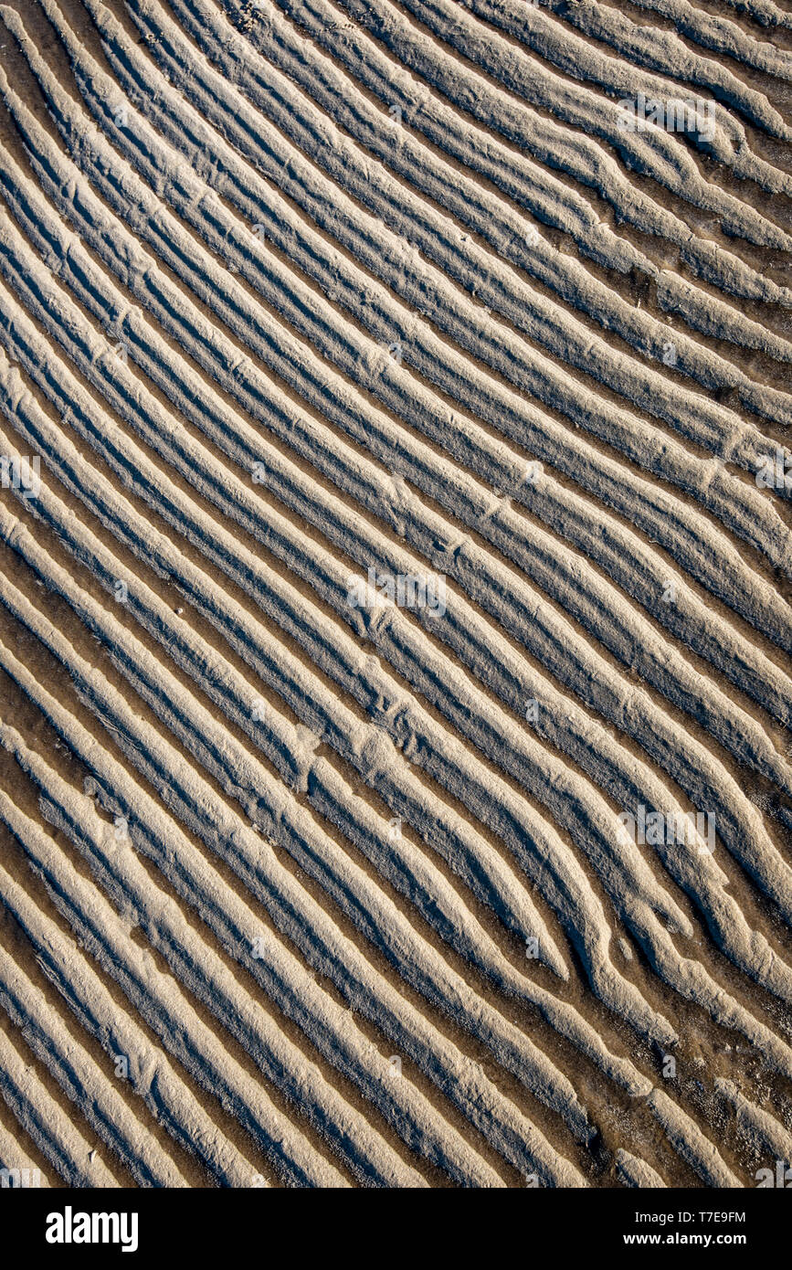 frozen sand textures in winter by the sea beach with blue sky in sunny ...