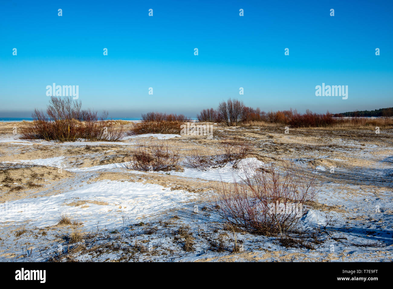 frozen sand textures in winter by the sea beach with blue sky in sunny ...