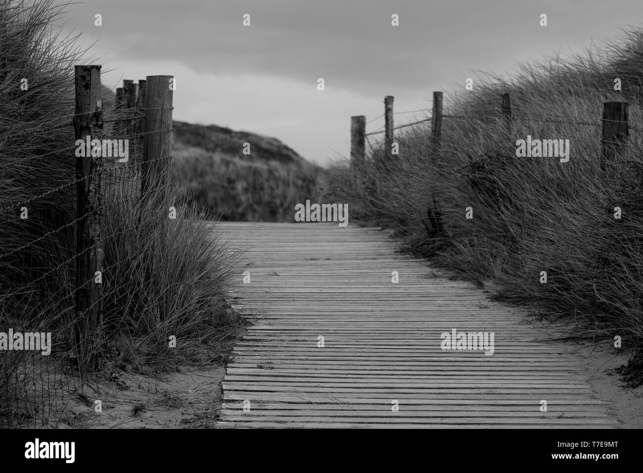 Nature landscape path fence Black and White Stock Photos & Images - Alamy
