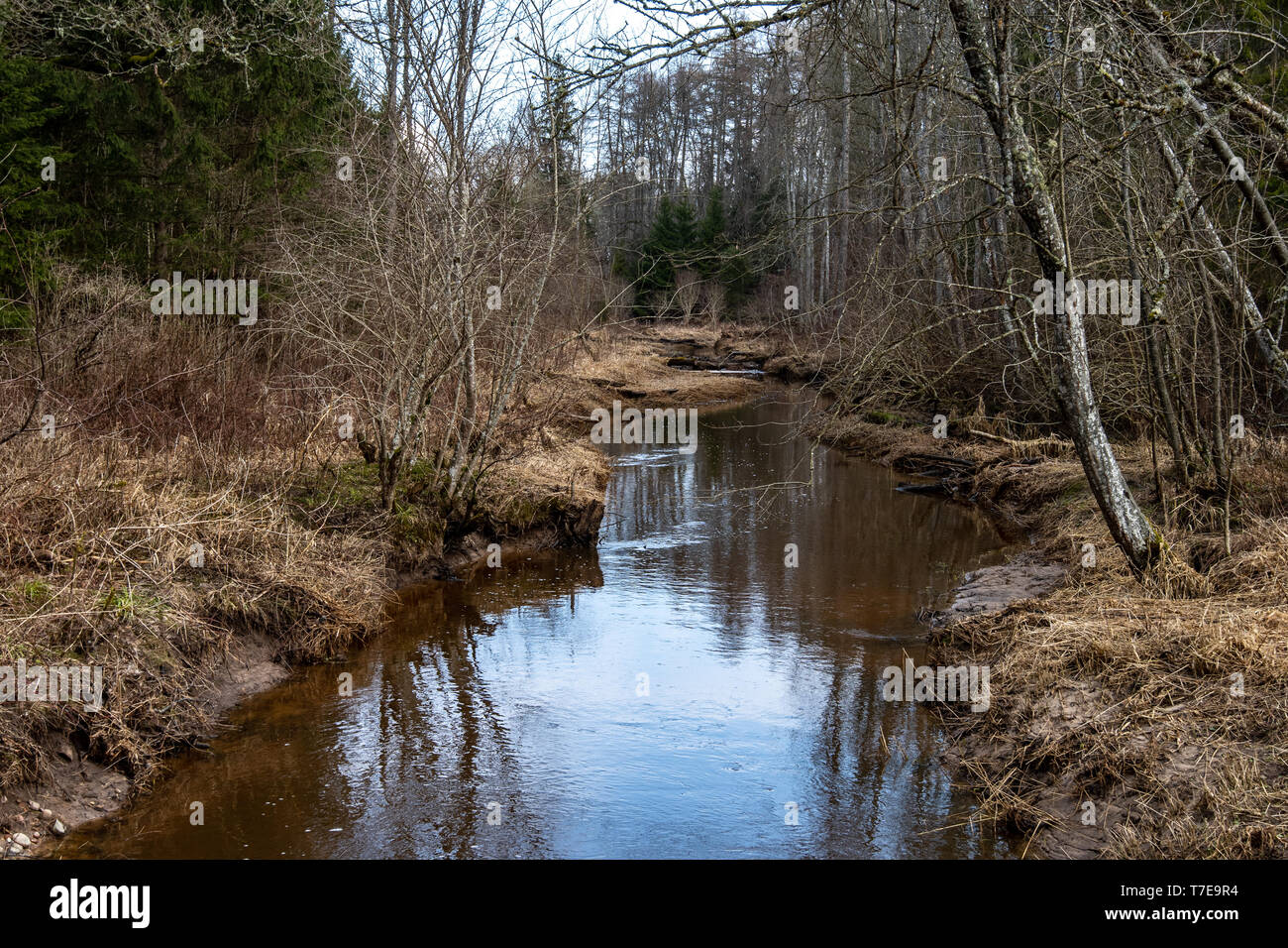 country forest river in early spring with no vegetation on the shores ...