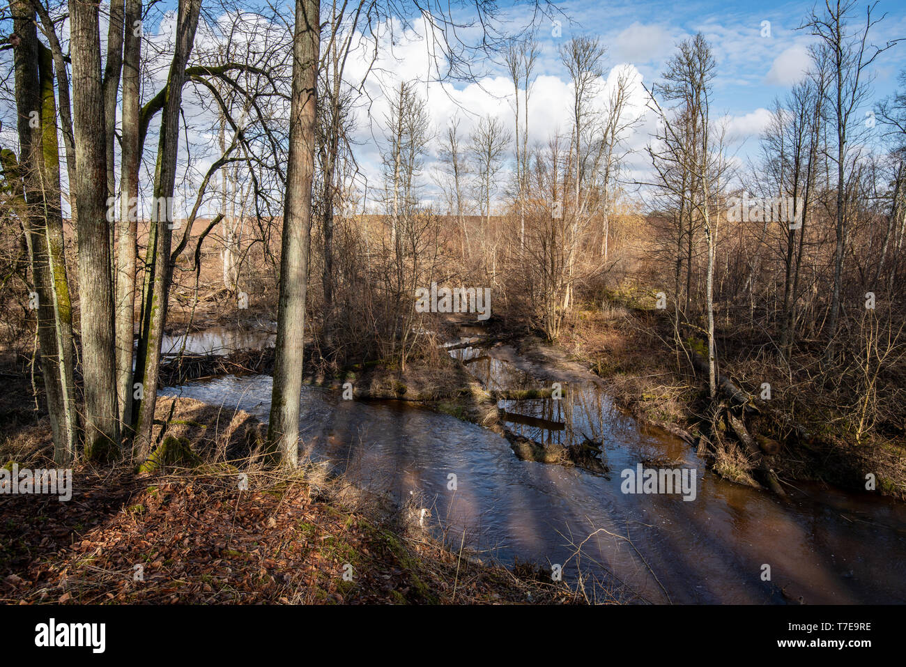 country forest river in early spring with no vegetation on the shores ...