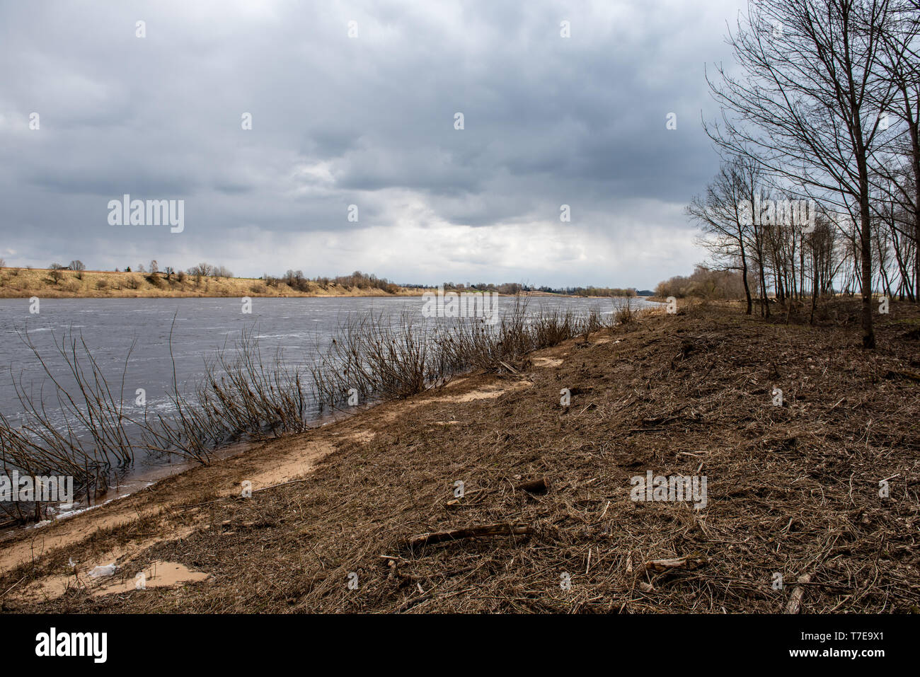 country forest river in early spring with no vegetation on the shores ...