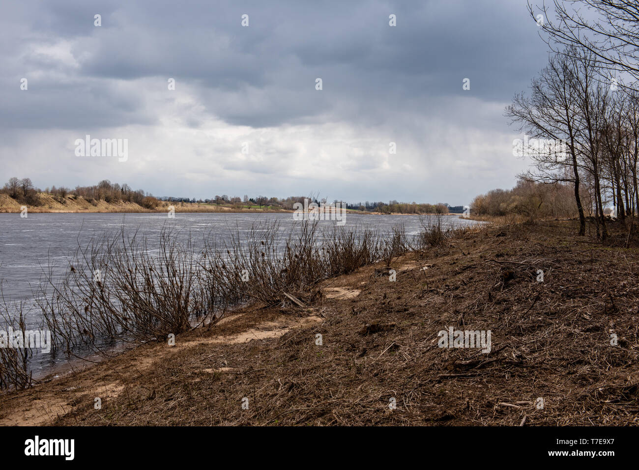 country forest river in early spring with no vegetation on the shores ...