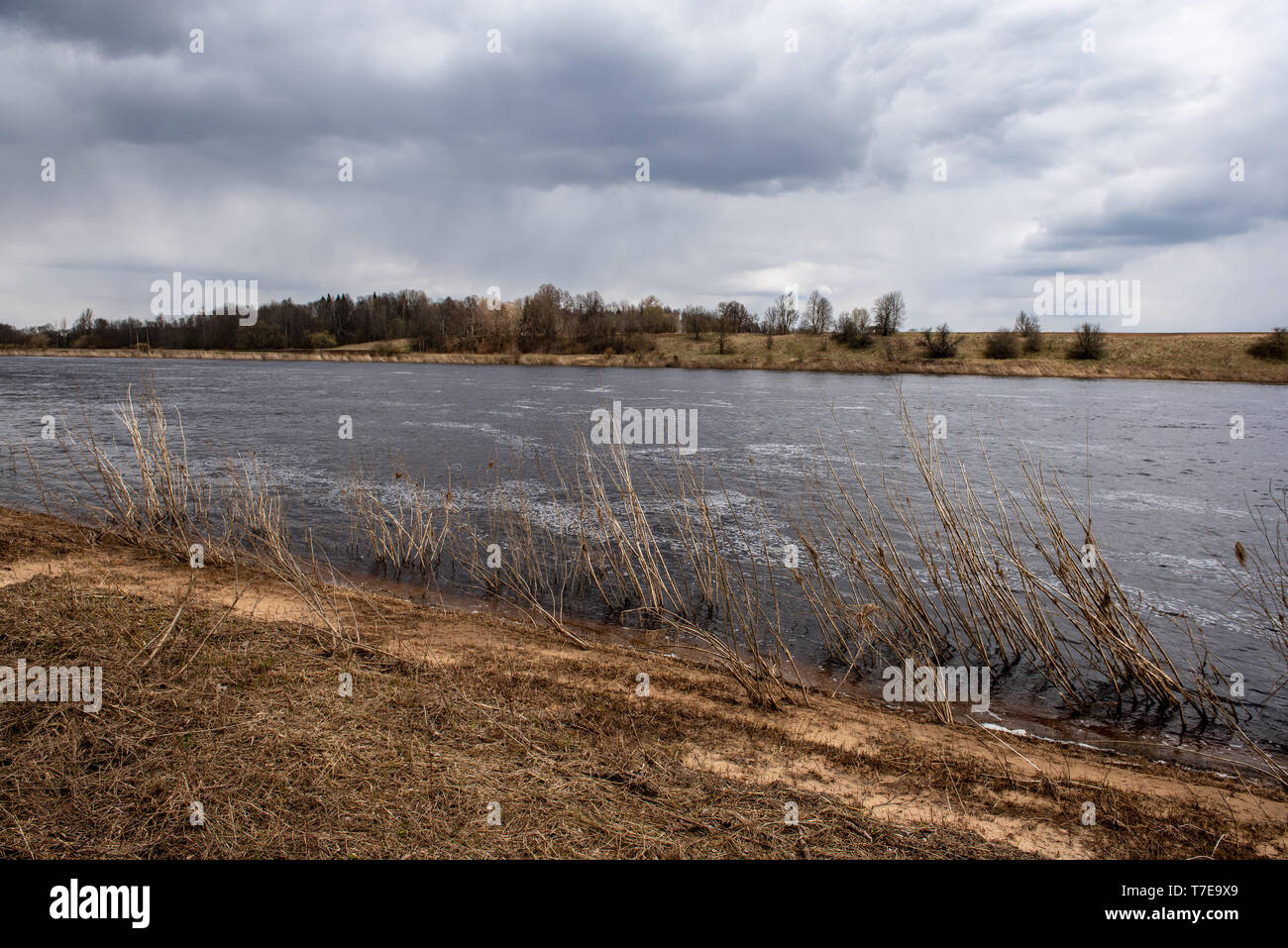 country forest river in early spring with no vegetation on the shores ...