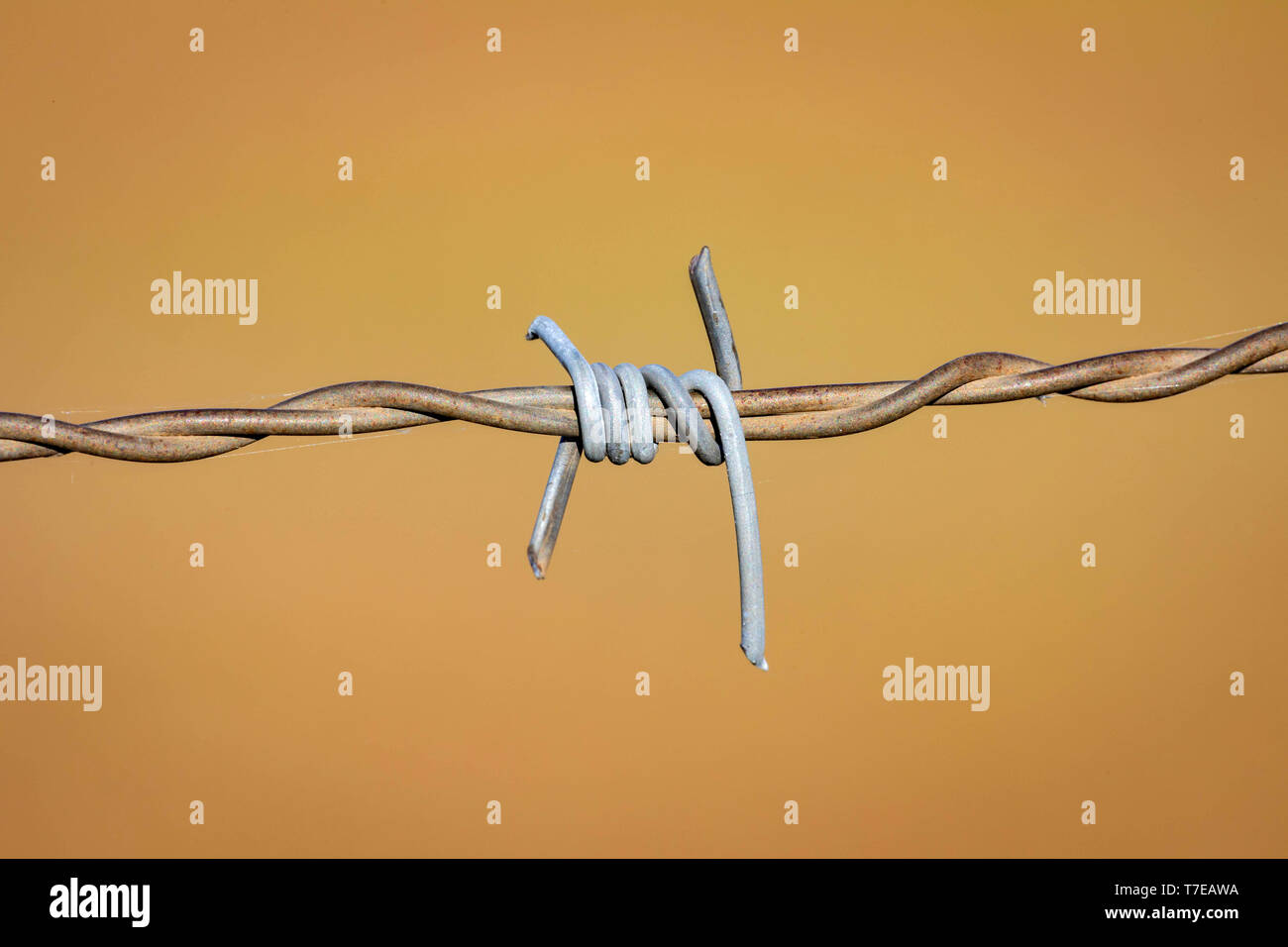 Wire fence close up with the countryside of background Stock Photo - Alamy