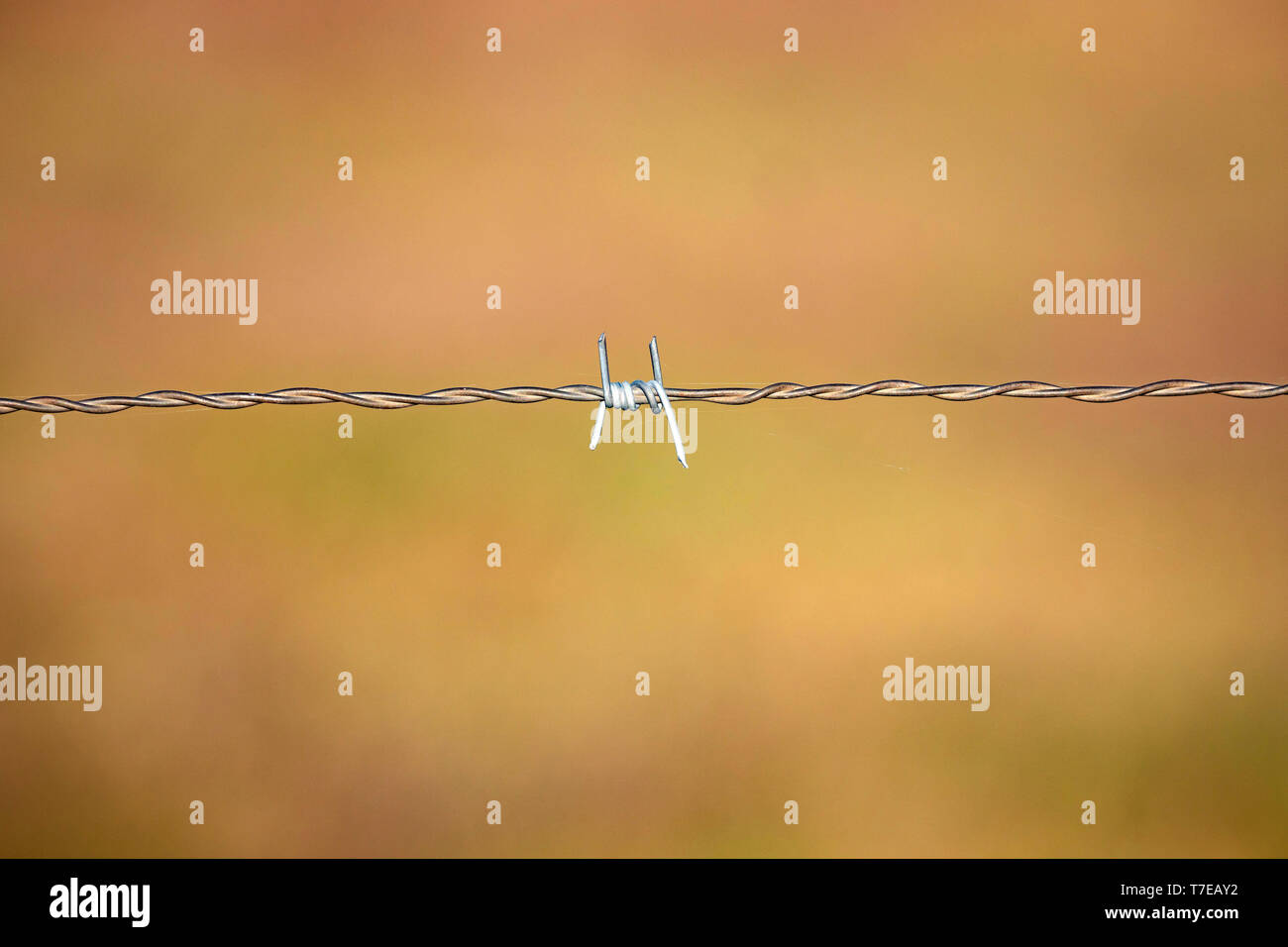 Wire fence close up with the countryside of background Stock Photo - Alamy
