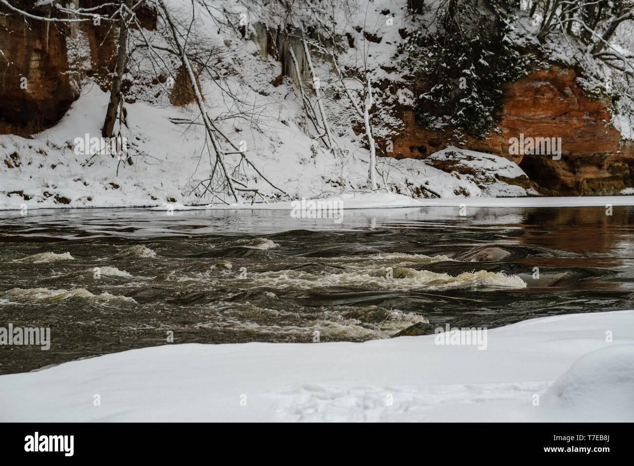 frozen forest river in winter with sandstone cliffs Stock Photo - Alamy