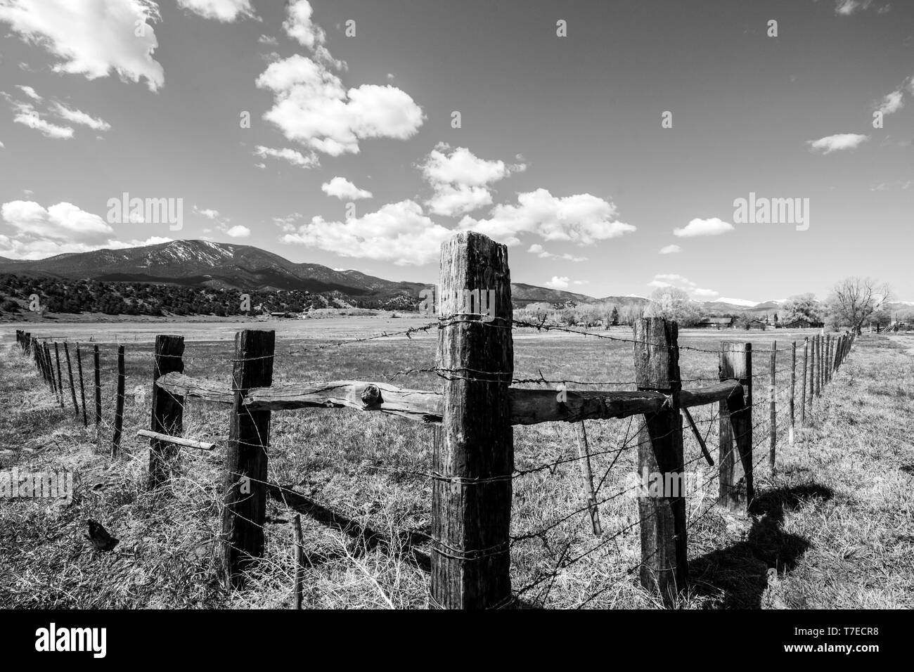 Obstacle posts Black and White Stock Photos & Images - Alamy
