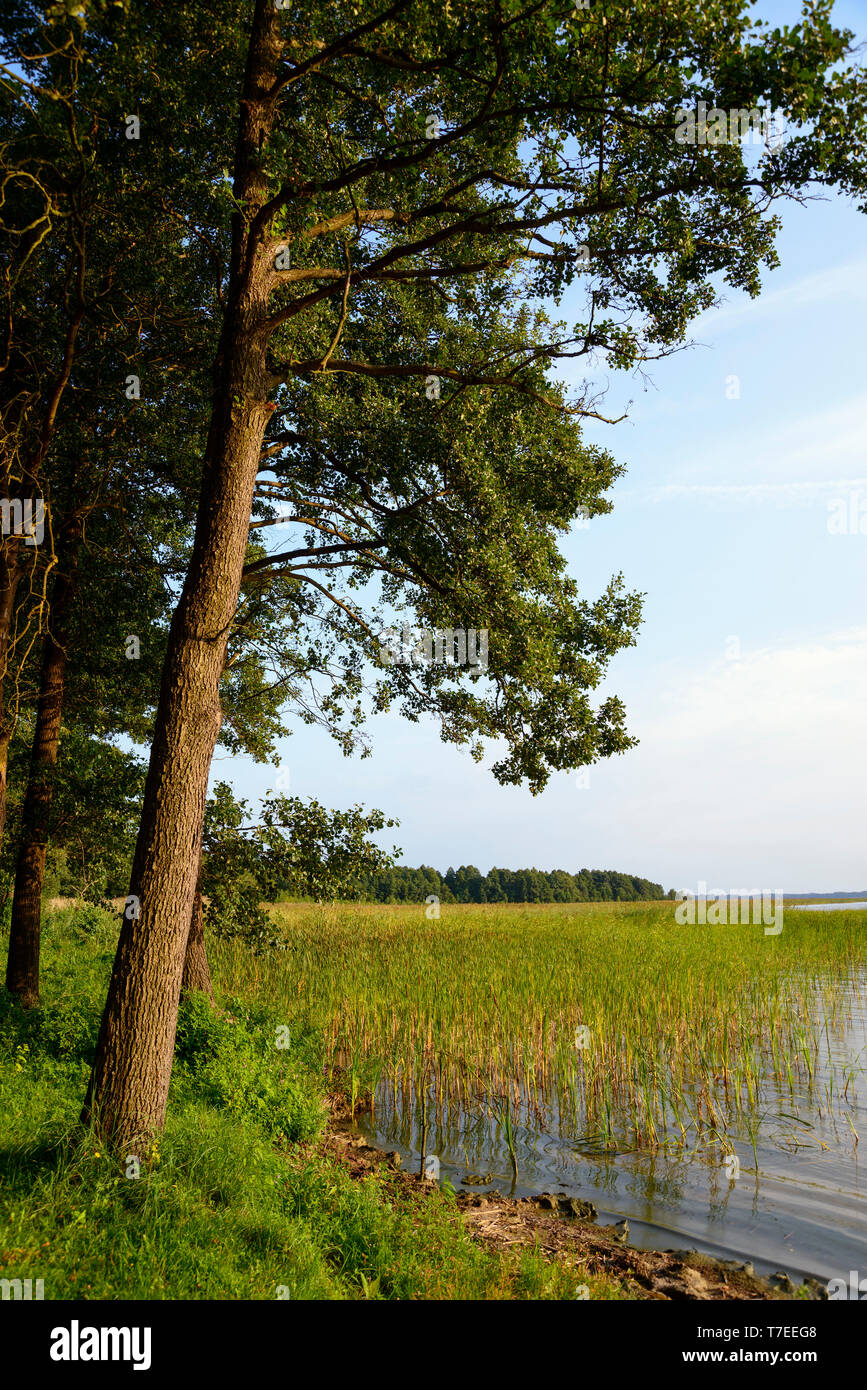 Summer landscape poland warmia hi-res stock photography and images - Alamy