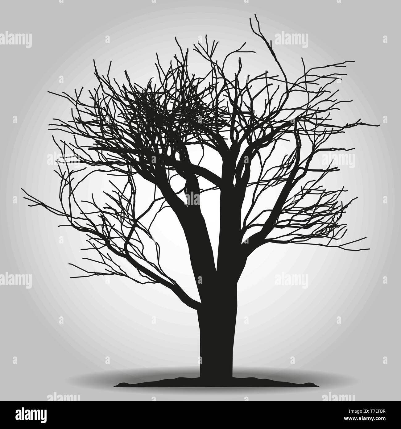 Tree icon. Forest symbol. Flat web sign on white background. Vector ...