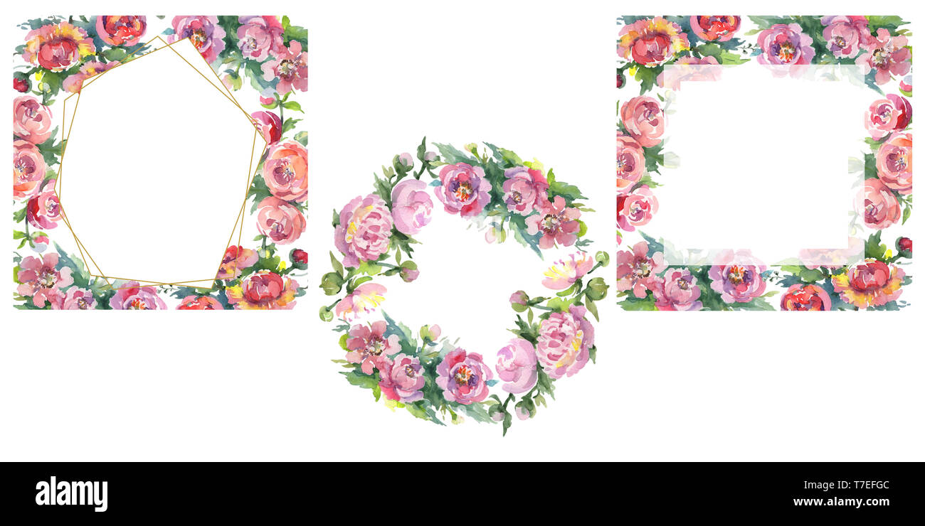 Peony bouquet floral botanical flowers. Wild spring leaf wildflower ...