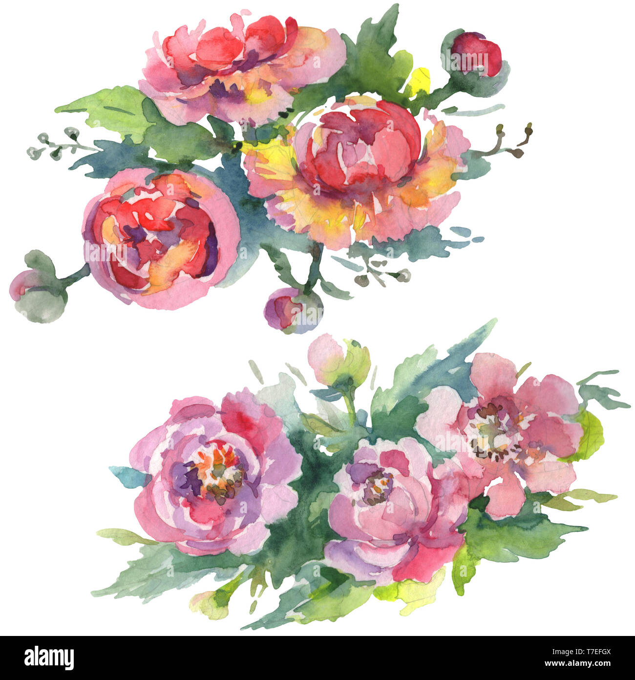 Peony bouquet floral botanical flowers. Wild spring leaf wildflower ...